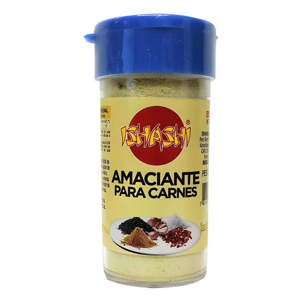 Amaciante de Carne Ishashi 50g | Tempero Pó | Gbarbosa