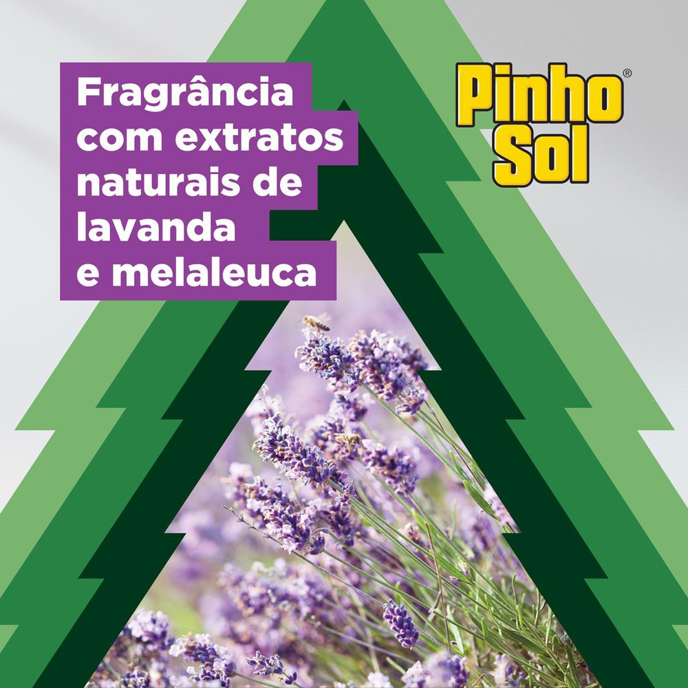 Desinfetante Pinho Sol Uso Geral Lavanda e Melaleuca Natural Essentials ...