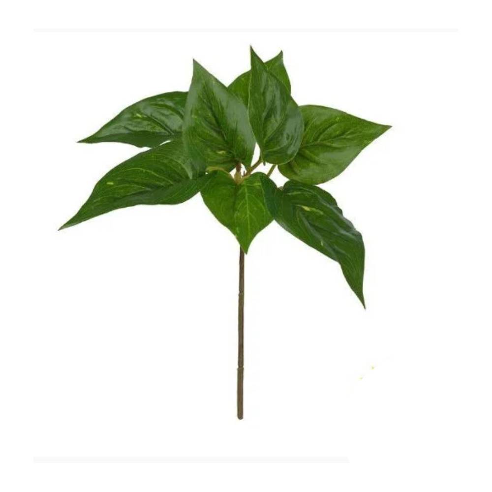 Planta Grillo Folha Real Toque Jiboia 20cm | Flores e Plantas ...