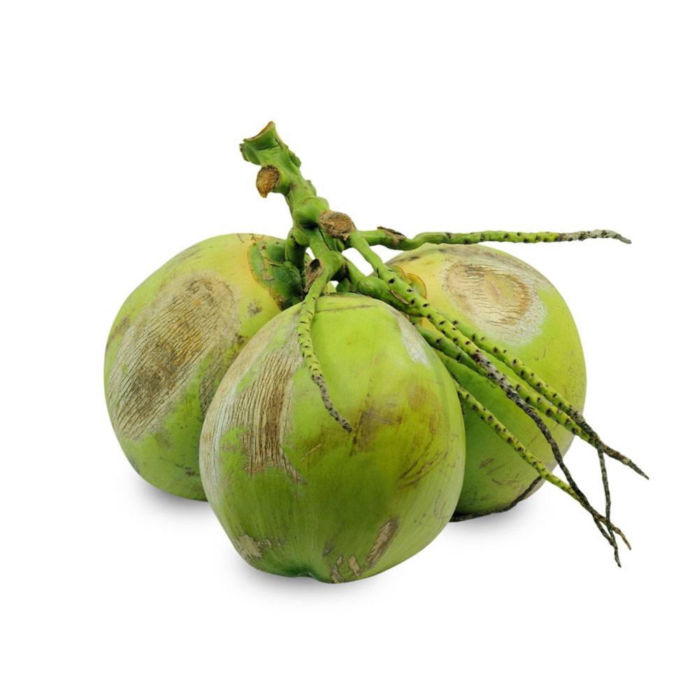 Coco Verde Unid | GBarbosa